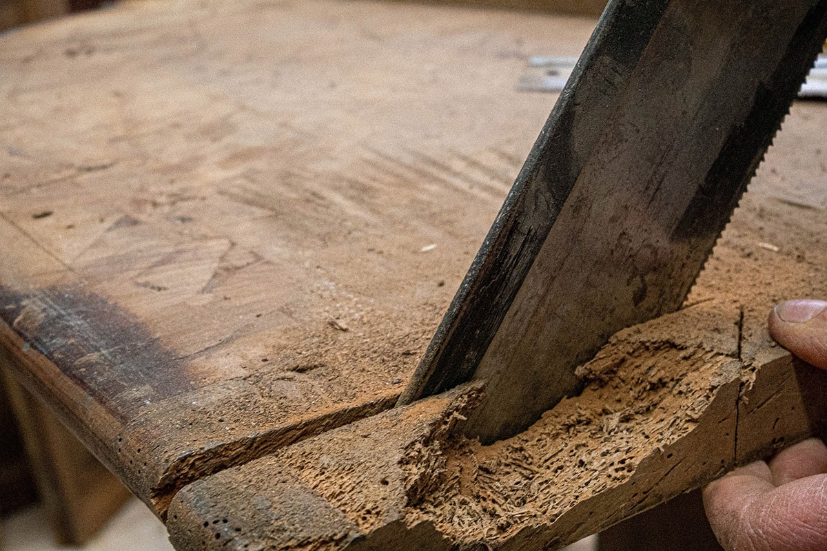 Remedios caseros para eliminar la carcoma de la madera | Hisan